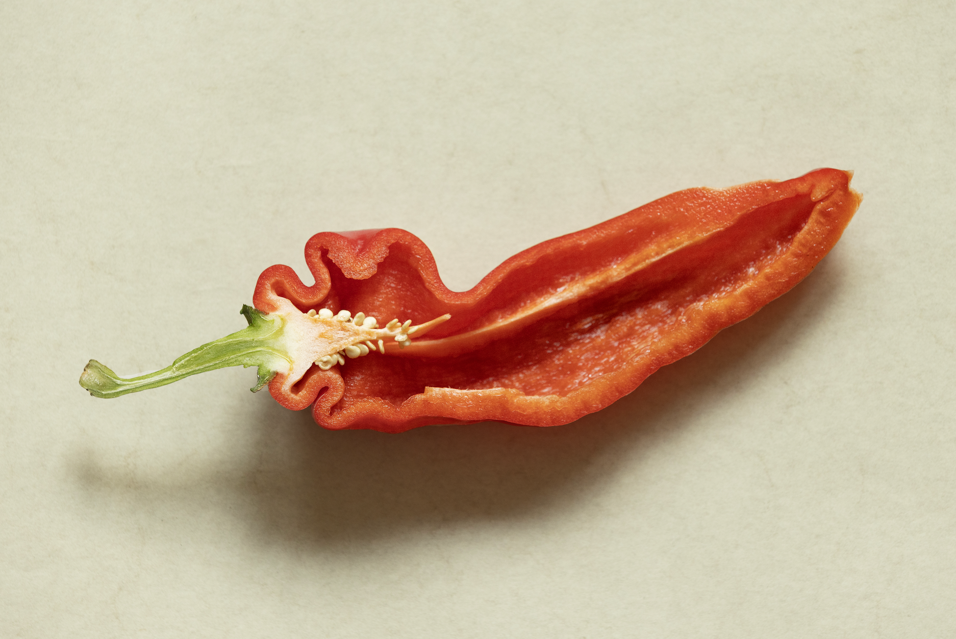 Winter Sale – Fabienne Chapot